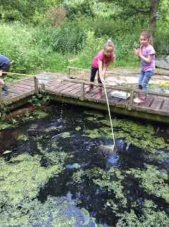 Mattishall Primary School | Synergy Multi-Academy Trust - Wrens at the ...