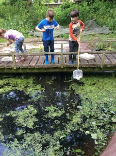 Mattishall Primary School | Synergy Multi-Academy Trust - Wrens at the ...